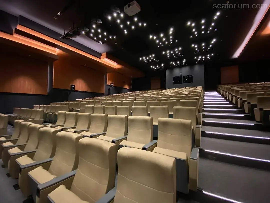 What is VIP Cinema Seating? - Cinema Chair